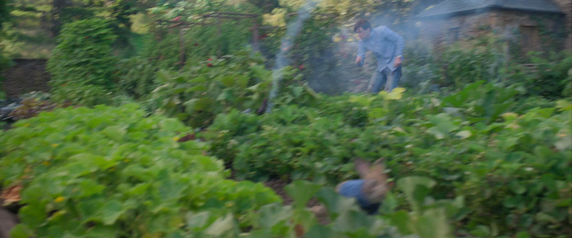 Peter Rabbit (2018) - Animation Screencaps.com