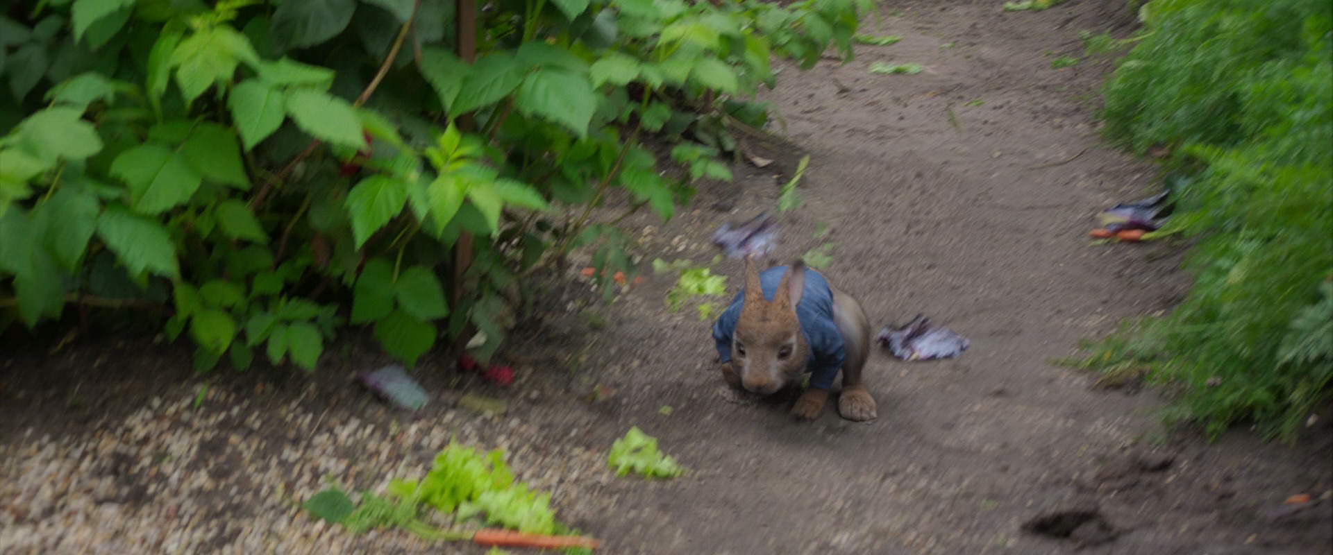 Peter Rabbit (2018) - Animation Screencaps.com