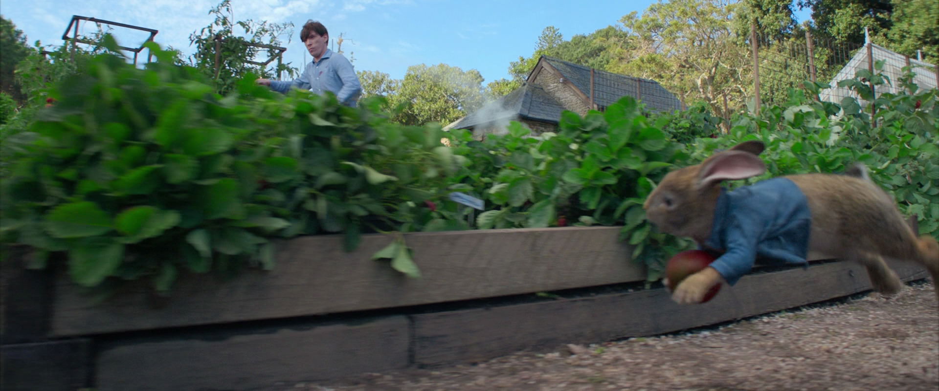 Peter Rabbit (2018) - Animation Screencaps.com