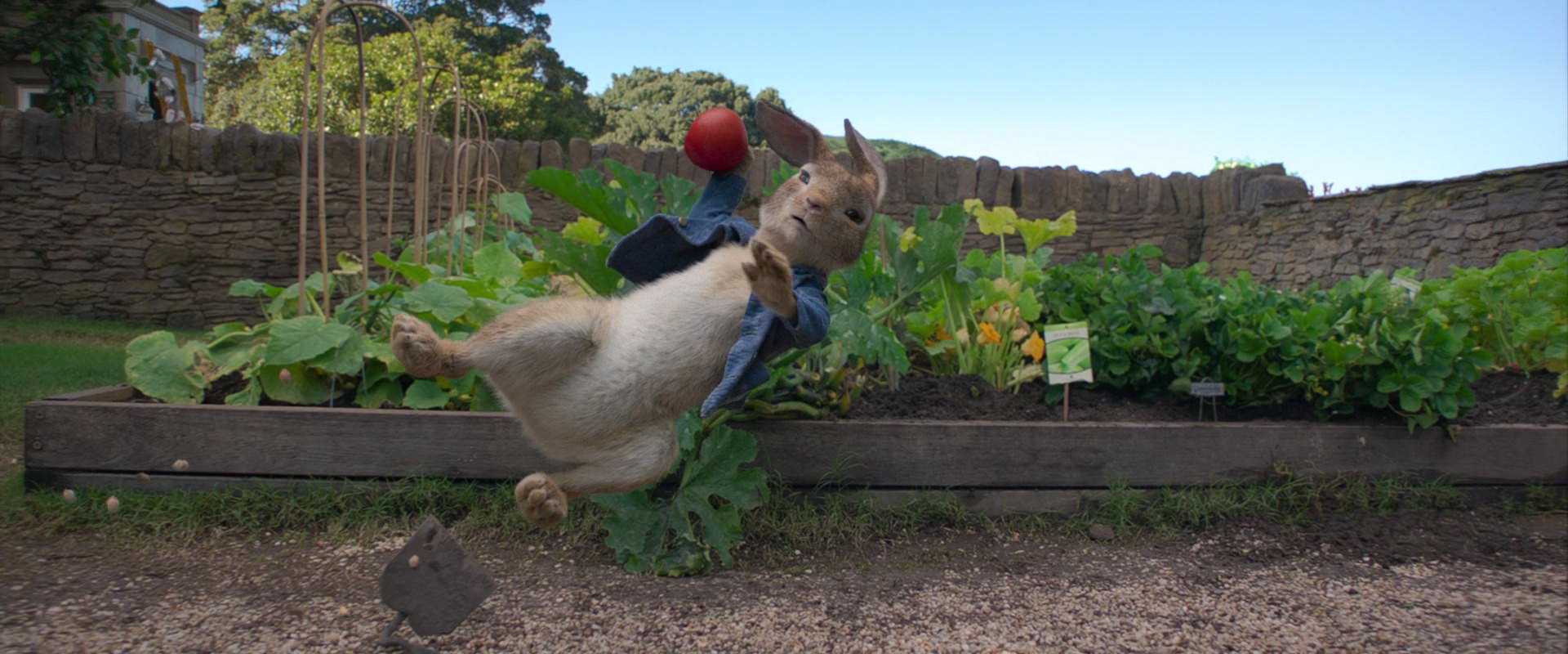 Peter Rabbit (2018) - Animation Screencaps.com