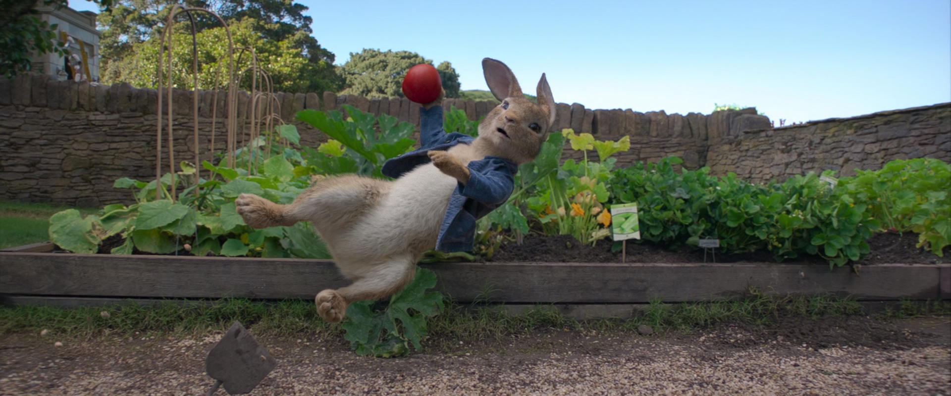 Peter Rabbit (2018) - Animation Screencaps.com