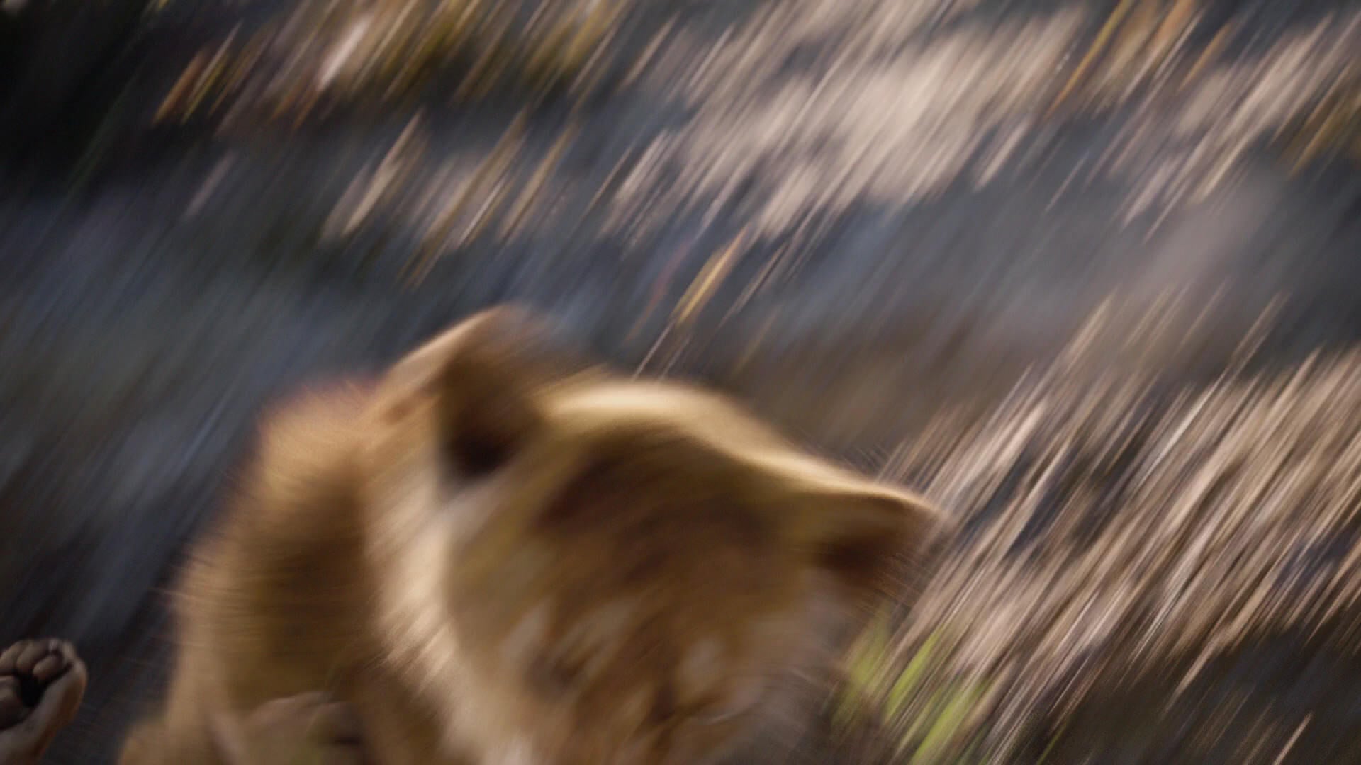 The Lion King (2019) - Animation Screencaps.com