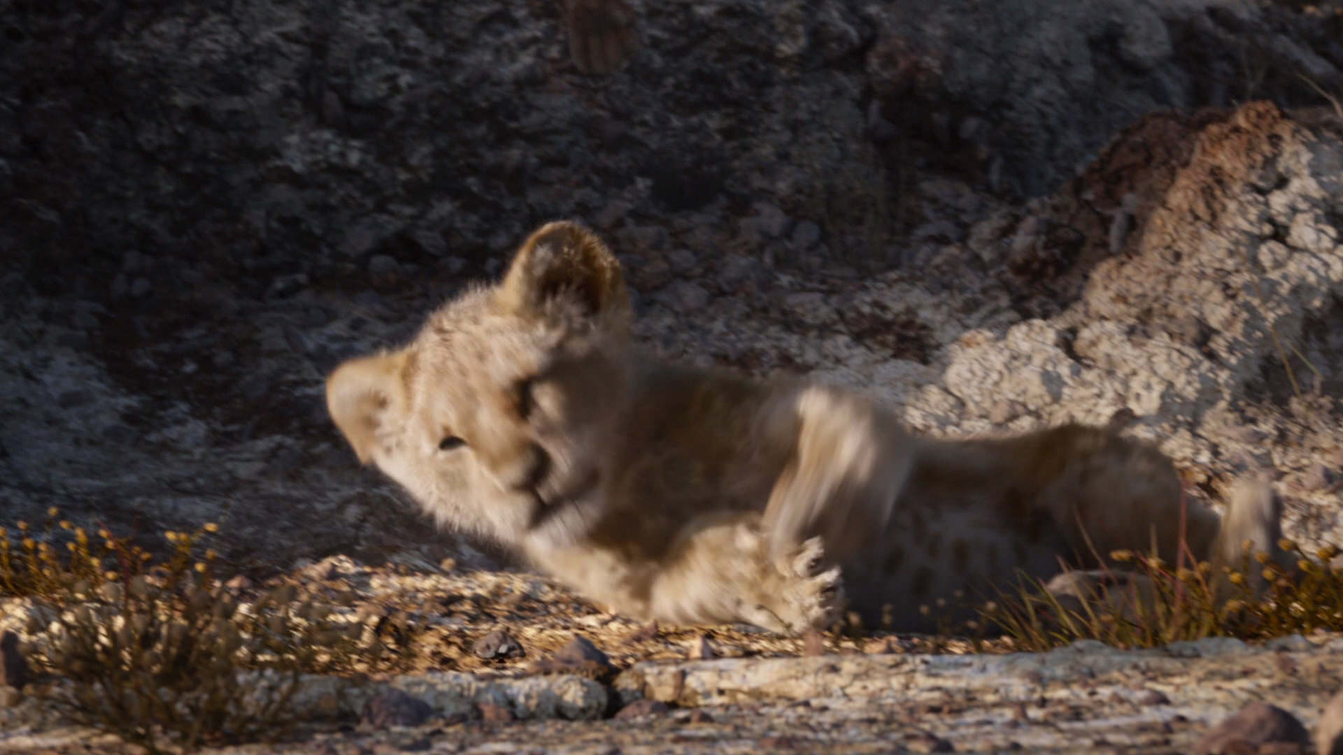 The Lion King (2019) - Animation Screencaps.com