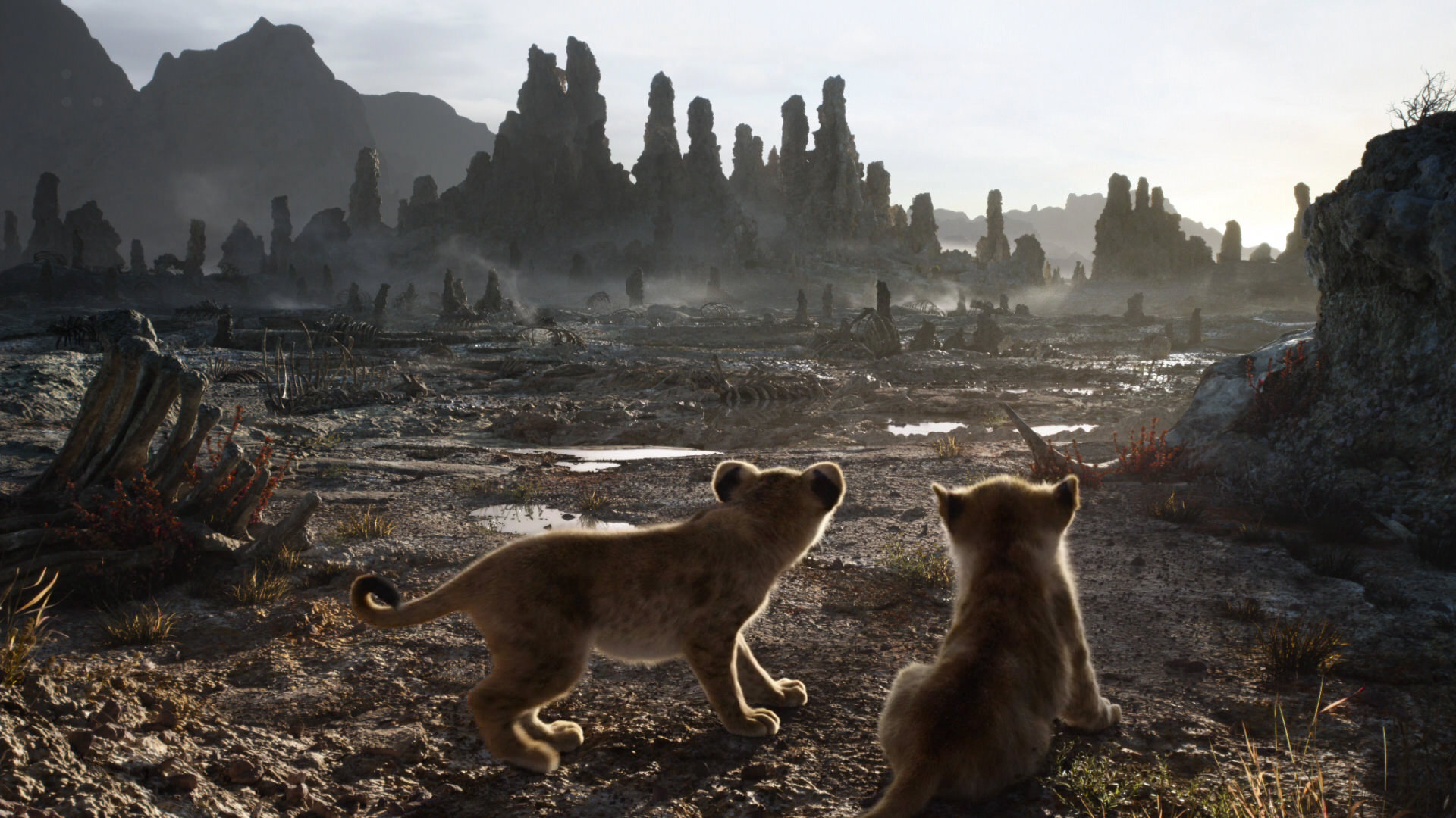 The Lion King (2019) - Animation Screencaps.com