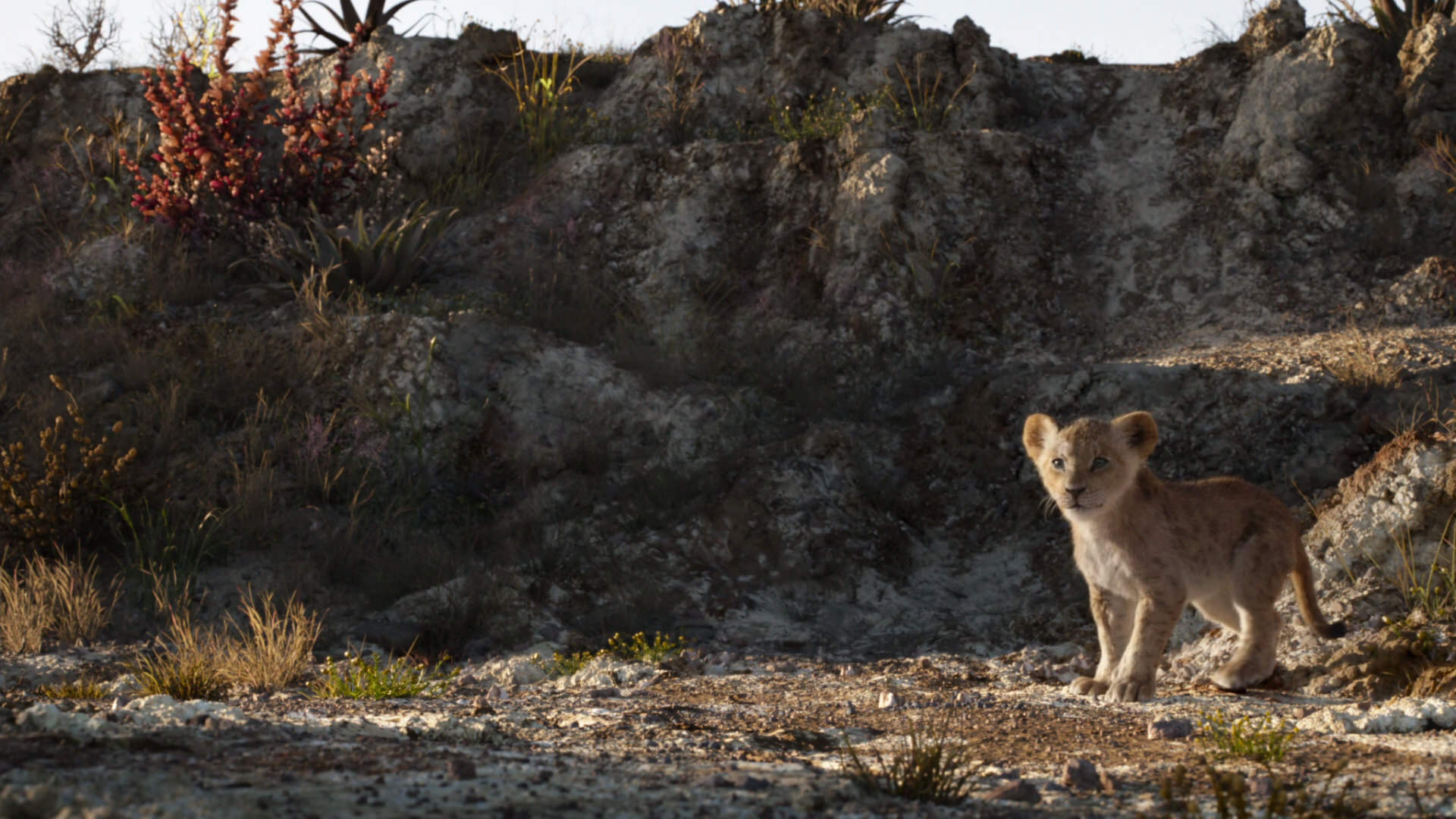 The Lion King (2019) - Animation Screencaps.com