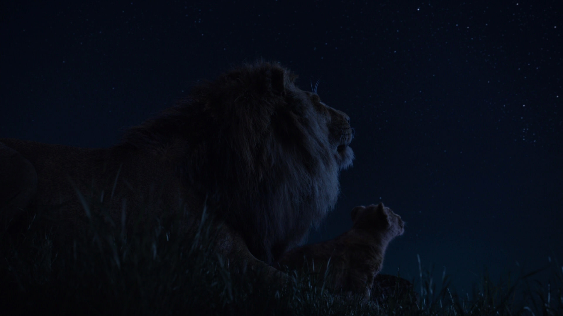 The Lion King (2019) - Animation Screencaps.com