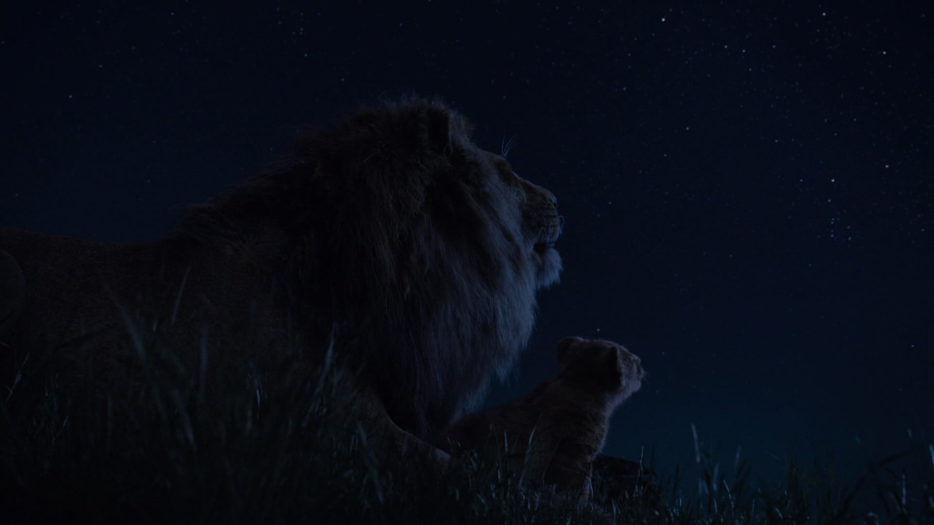 The Lion King (2019) - Animation Screencaps.com