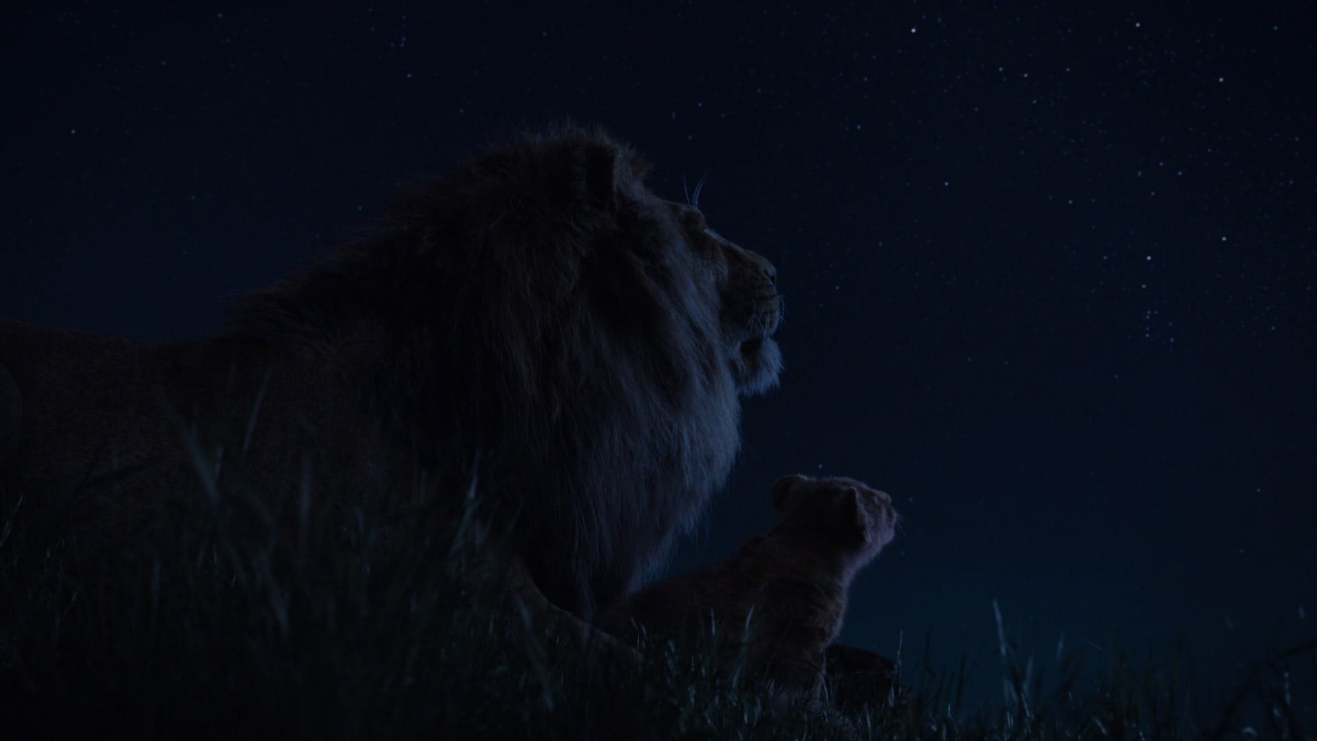 The Lion King (2019) - Animation Screencaps.com