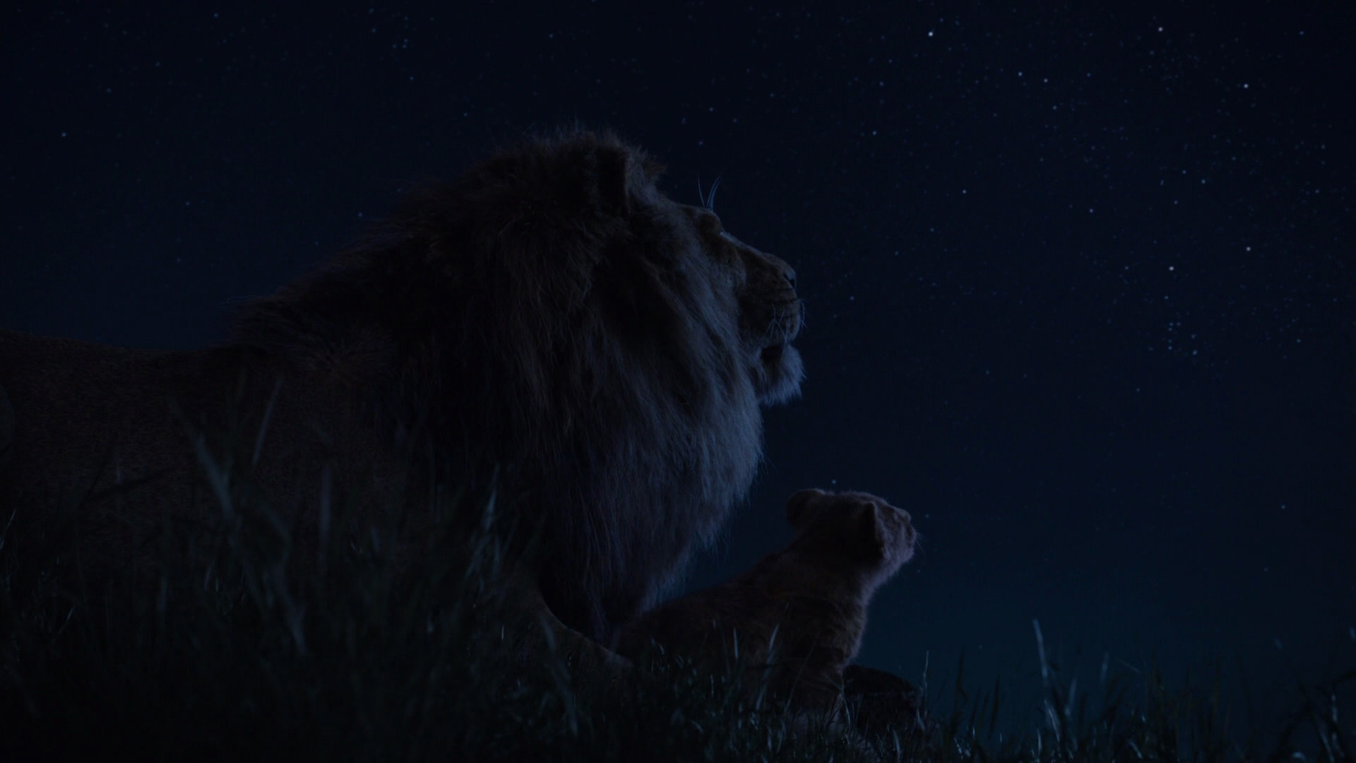 The Lion King (2019) - Animation Screencaps.com