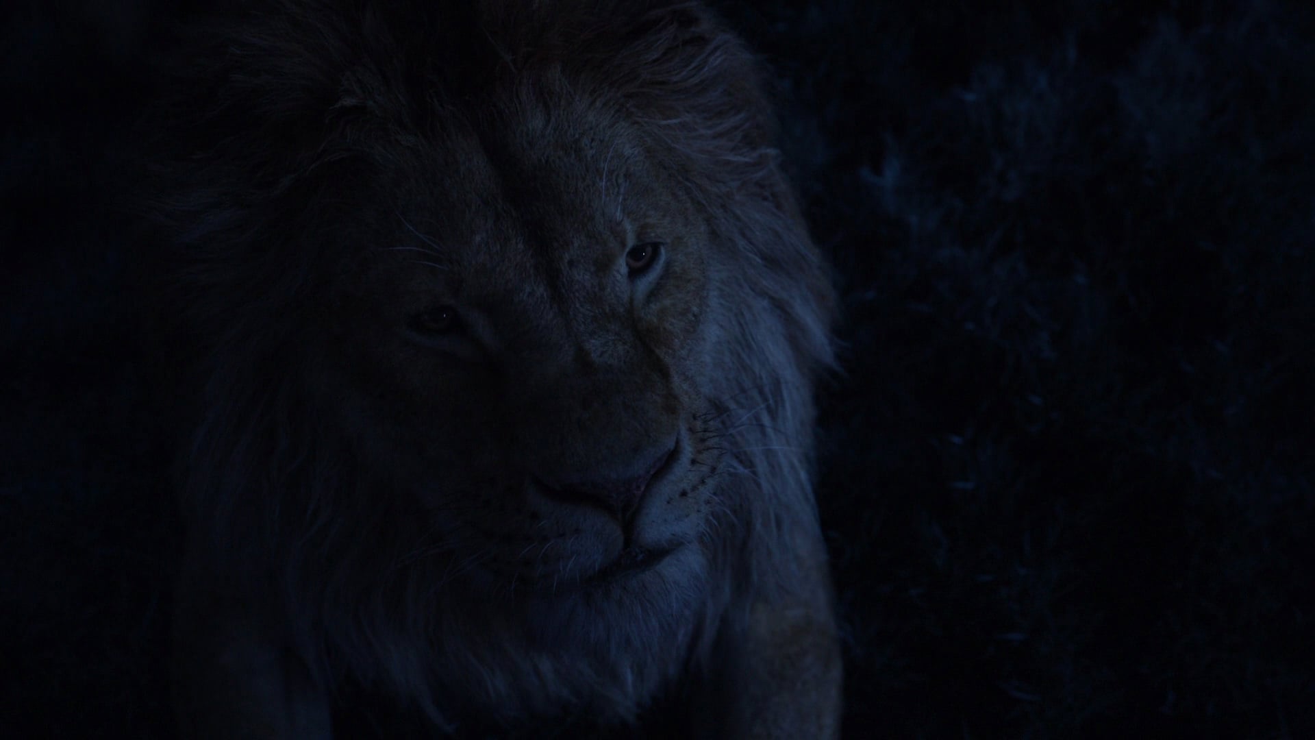 The Lion King (2019) - Animation Screencaps.com