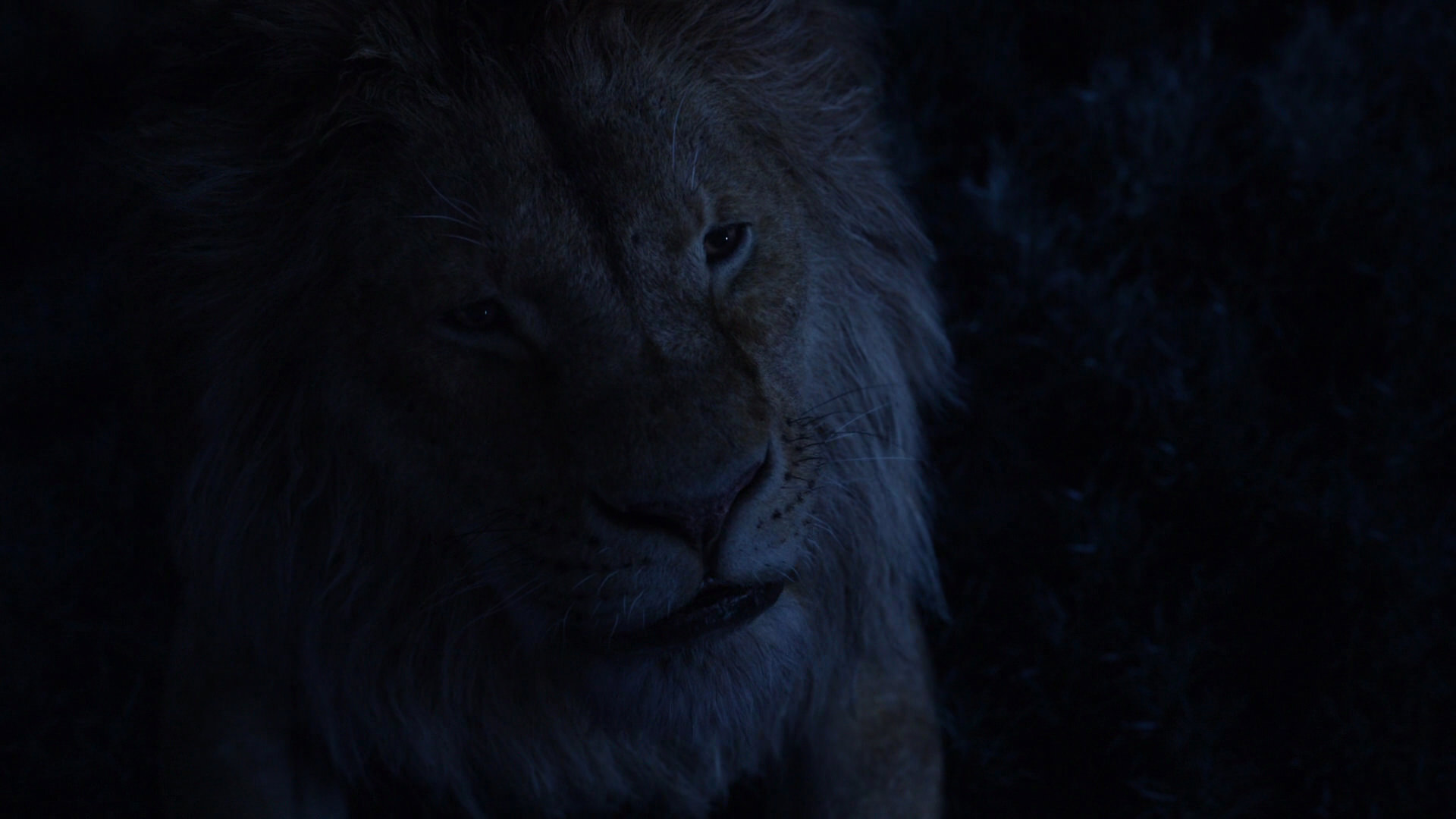 The Lion King (2019) - Animation Screencaps.com