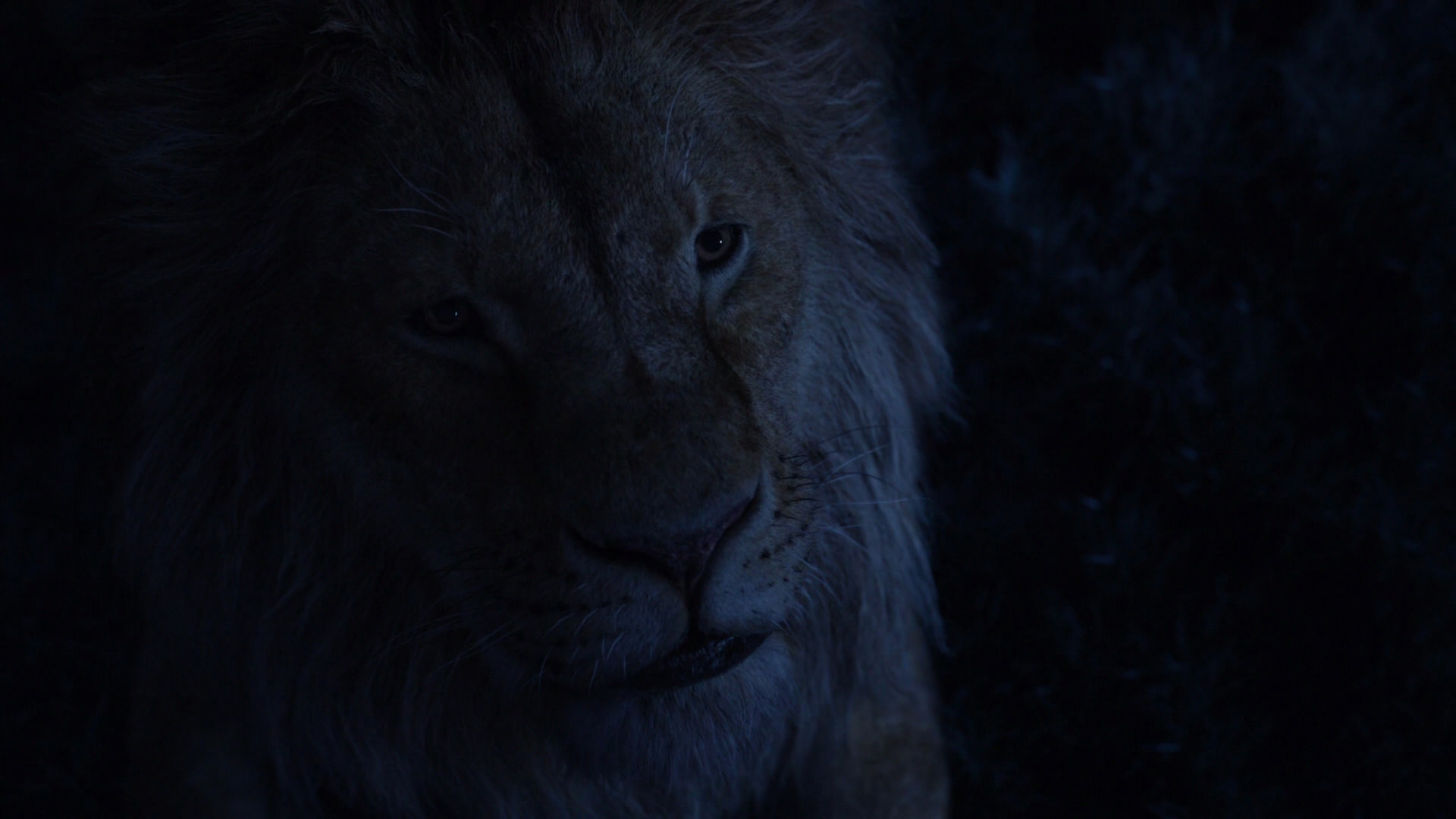 The Lion King (2019) - Animation Screencaps.com
