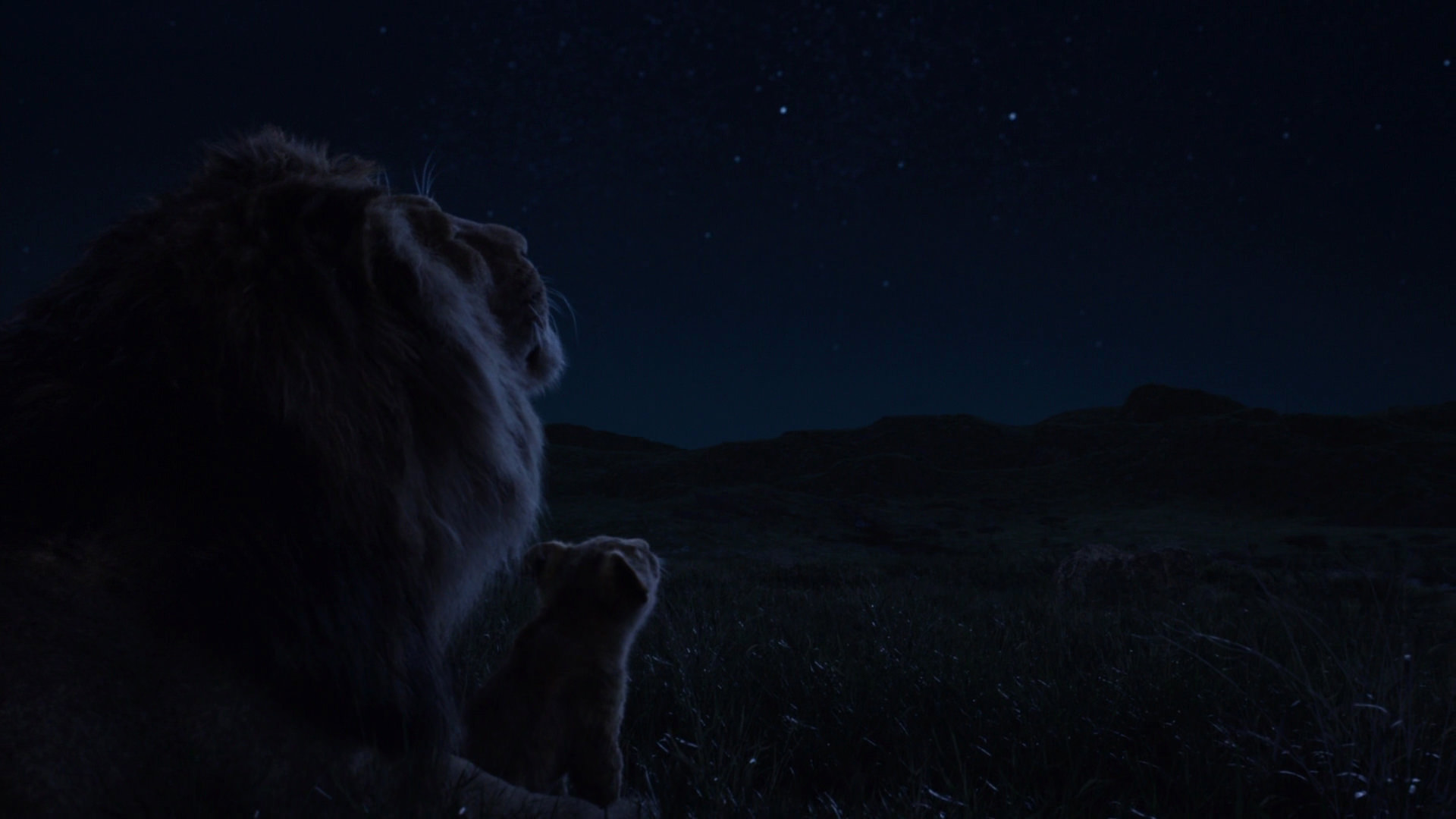 The Lion King (2019) - Animation Screencaps.com