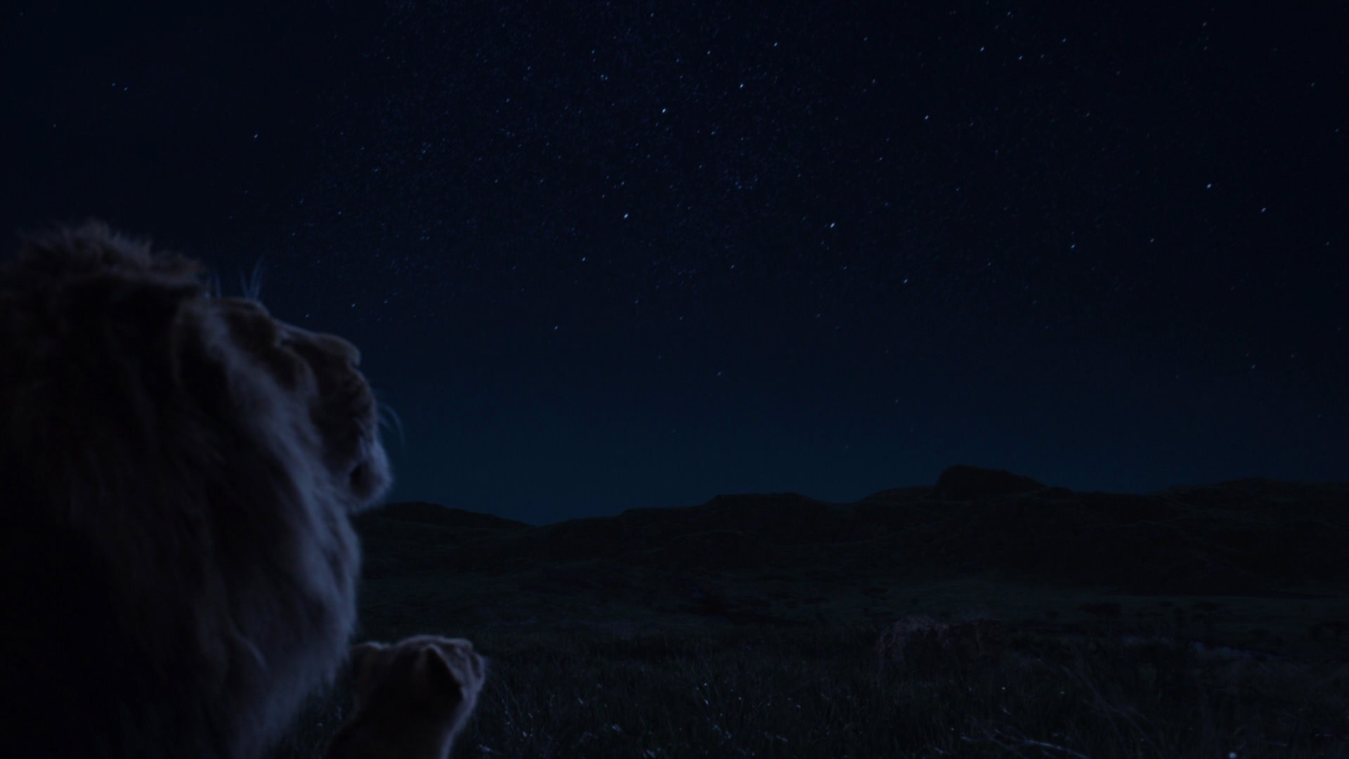 The Lion King (2019) - Animation Screencaps.com