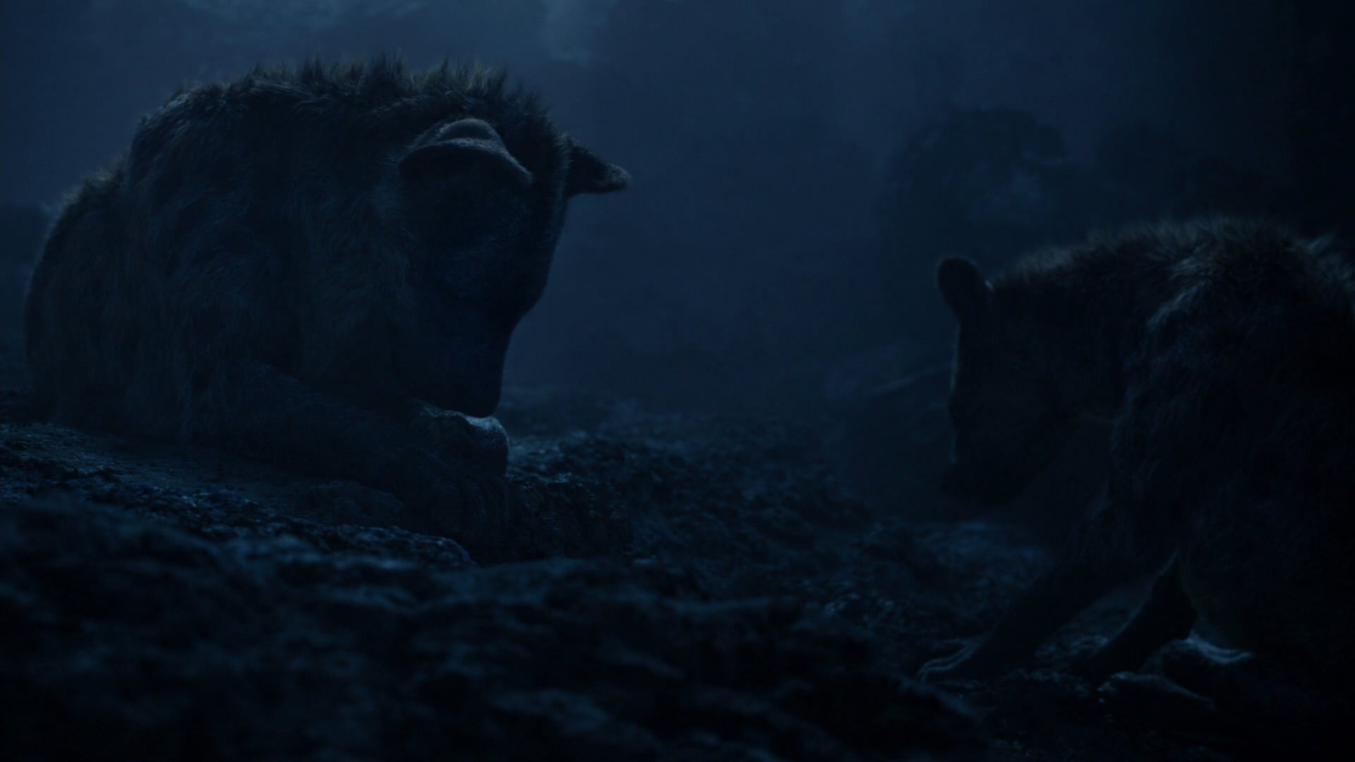 The Lion King (2019) - Animation Screencaps.com
