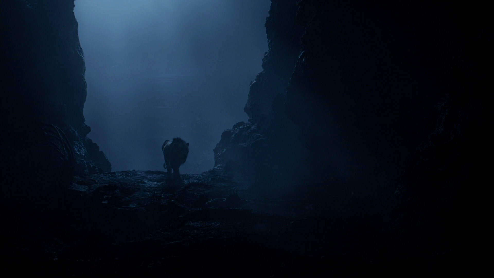 The Lion King (2019) - Animation Screencaps.com