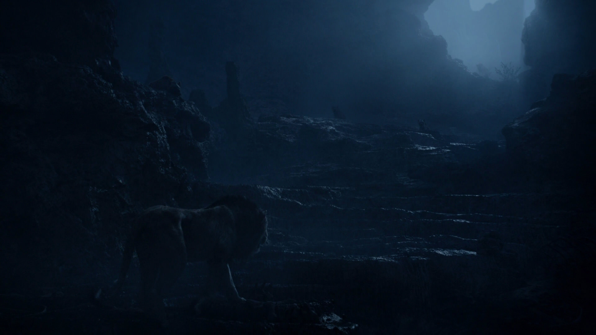 The Lion King (2019) - Animation Screencaps.com