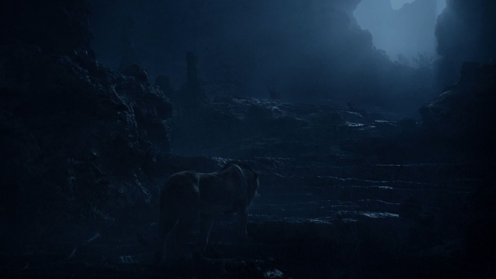 The Lion King (2019) - Animation Screencaps.com