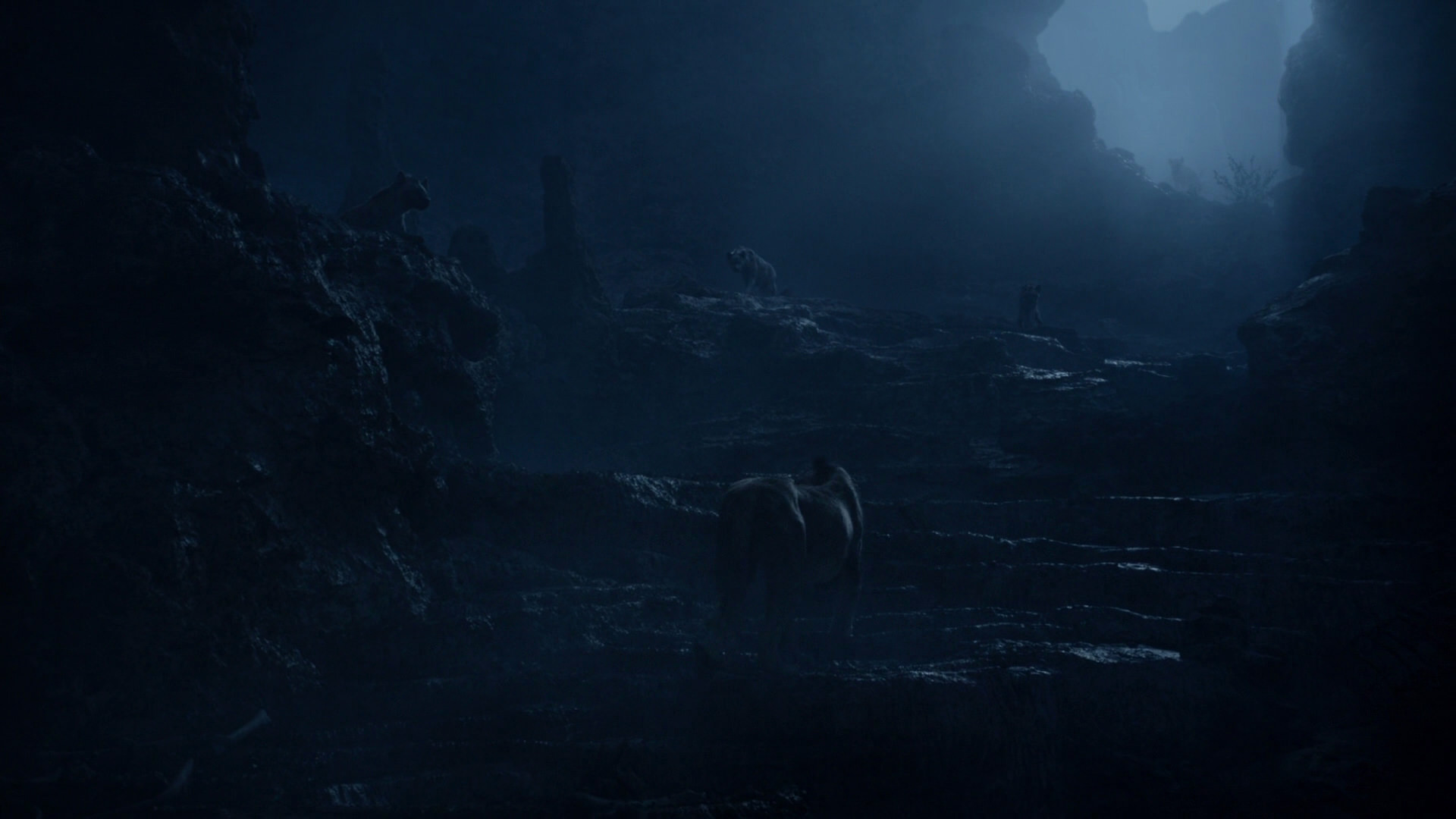 The Lion King (2019) - Animation Screencaps.com