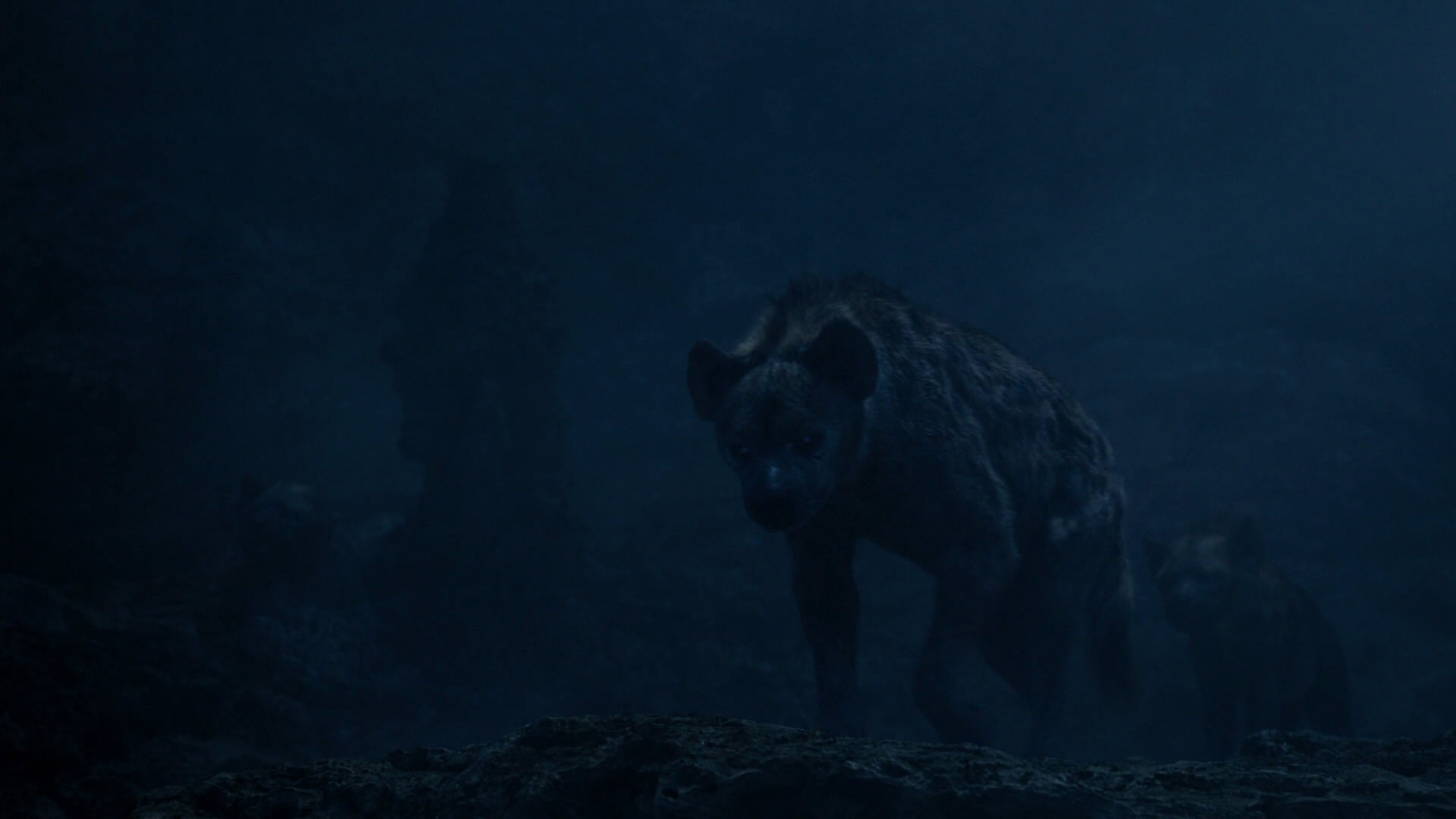 The Lion King (2019) - Animation Screencaps.com
