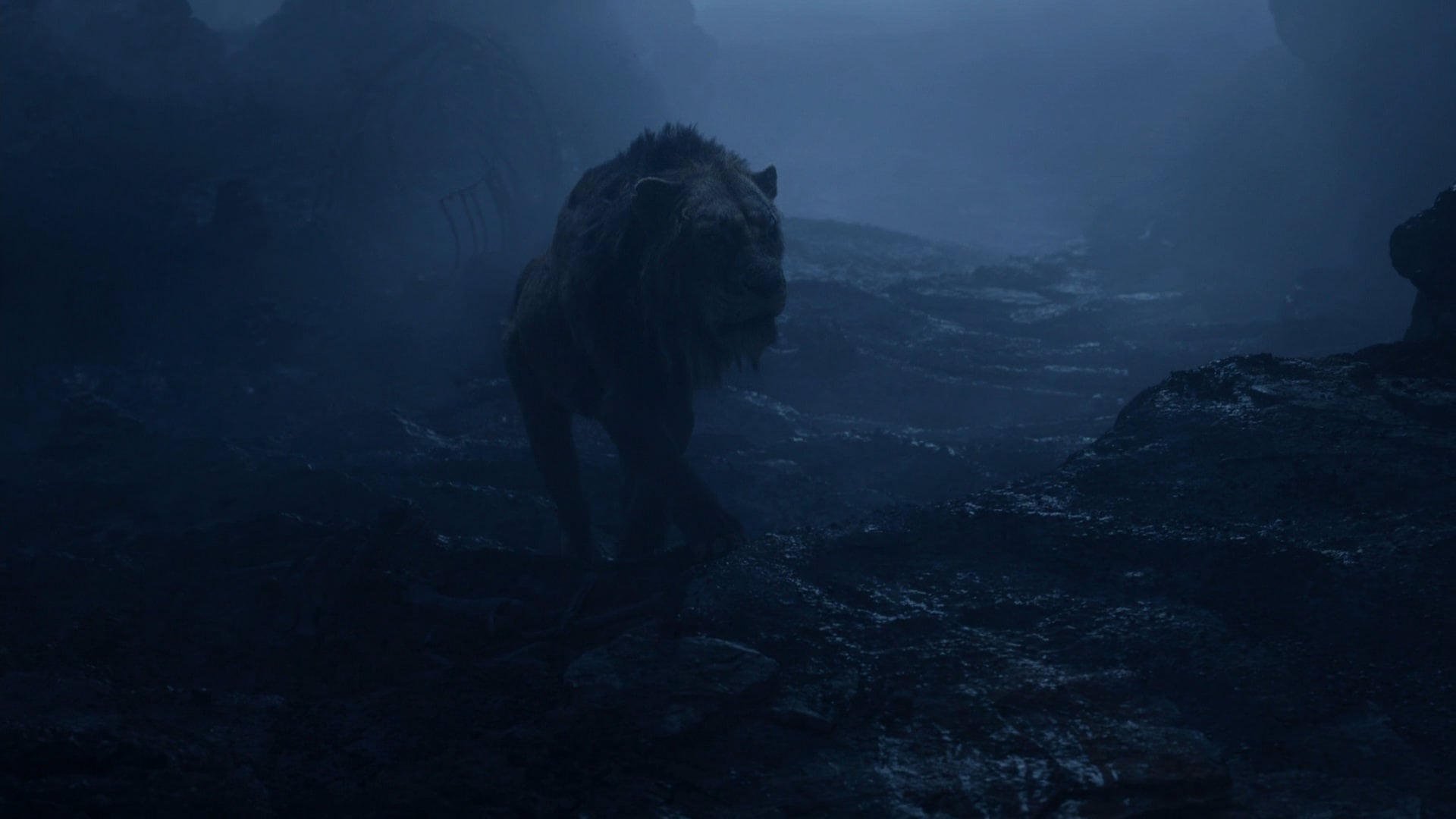 The Lion King (2019) - Animation Screencaps.com