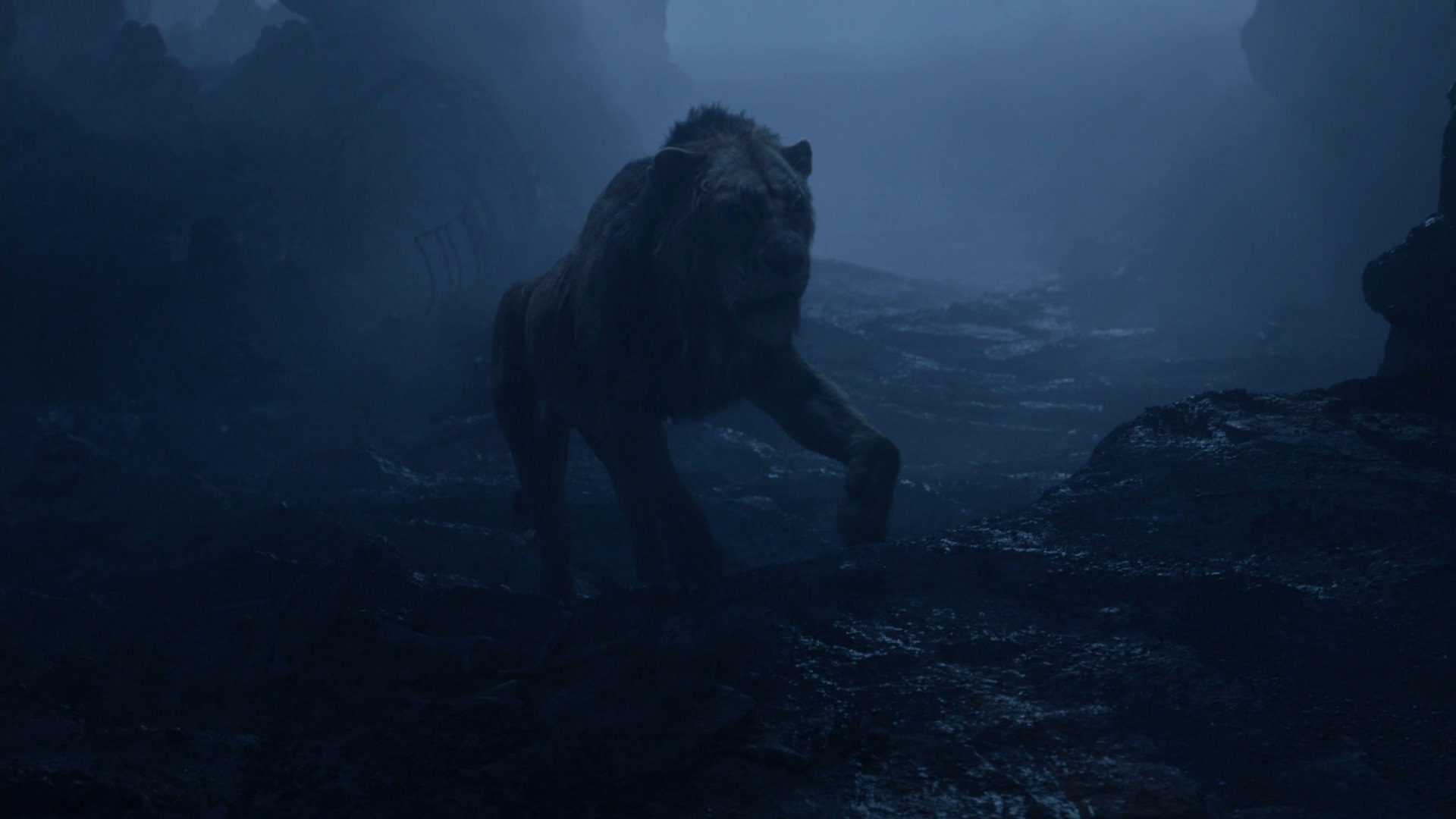 The Lion King (2019) - Animation Screencaps.com
