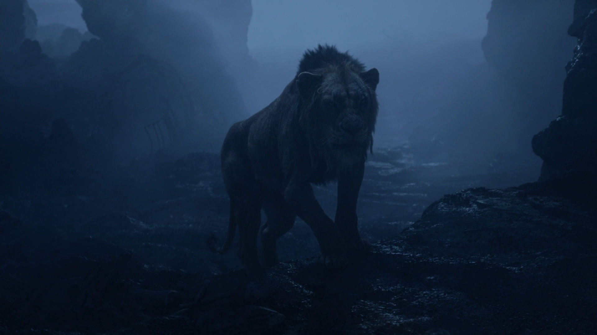 The Lion King (2019) - Animation Screencaps.com