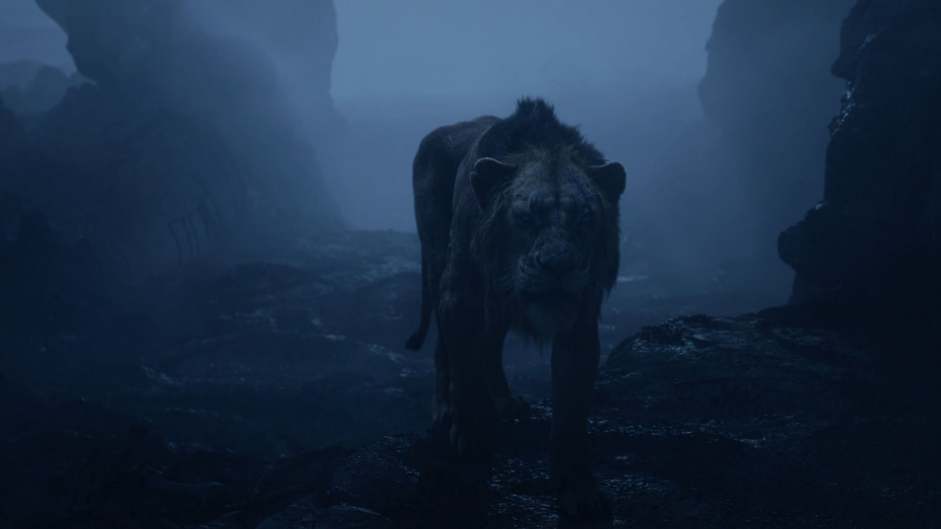 The Lion King (2019) - Animation Screencaps.com