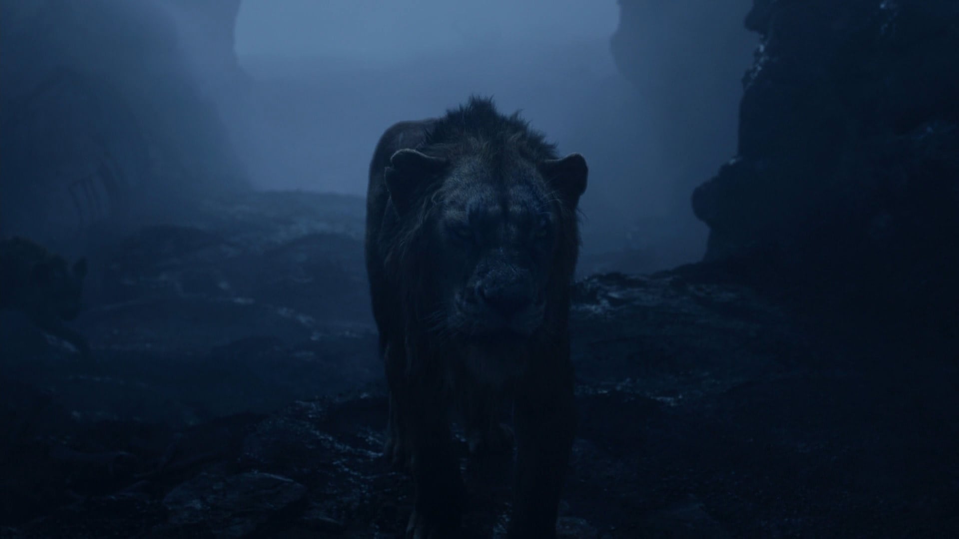 The Lion King (2019) - Animation Screencaps.com