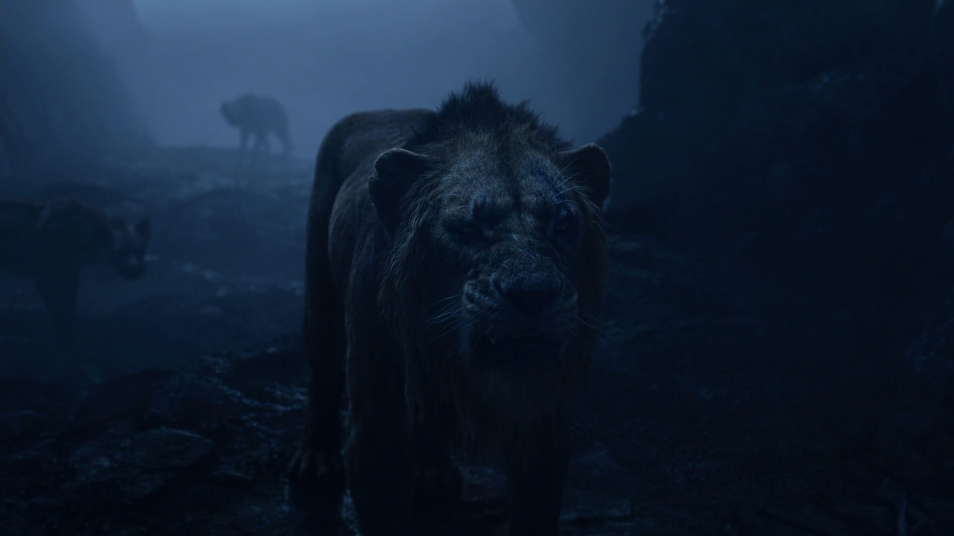 The Lion King (2019) - Animation Screencaps.com