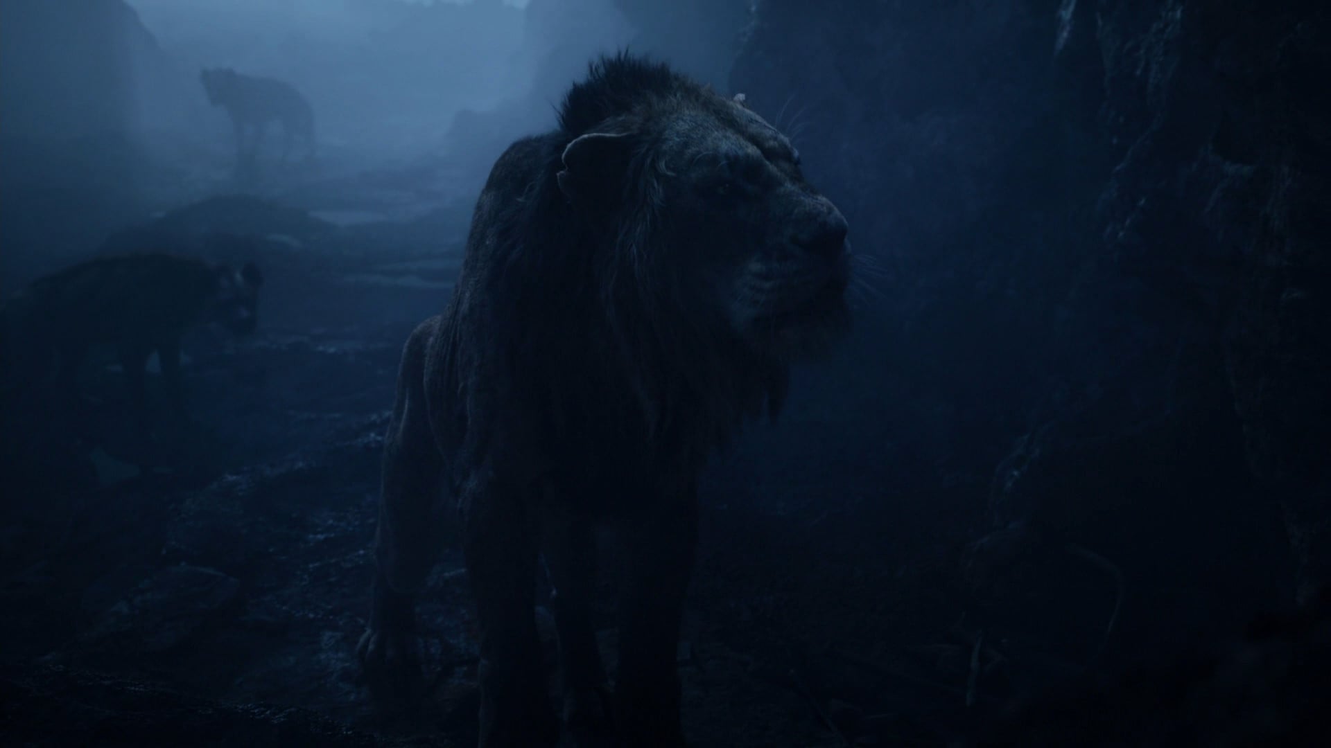 The Lion King (2019) - Animation Screencaps.com