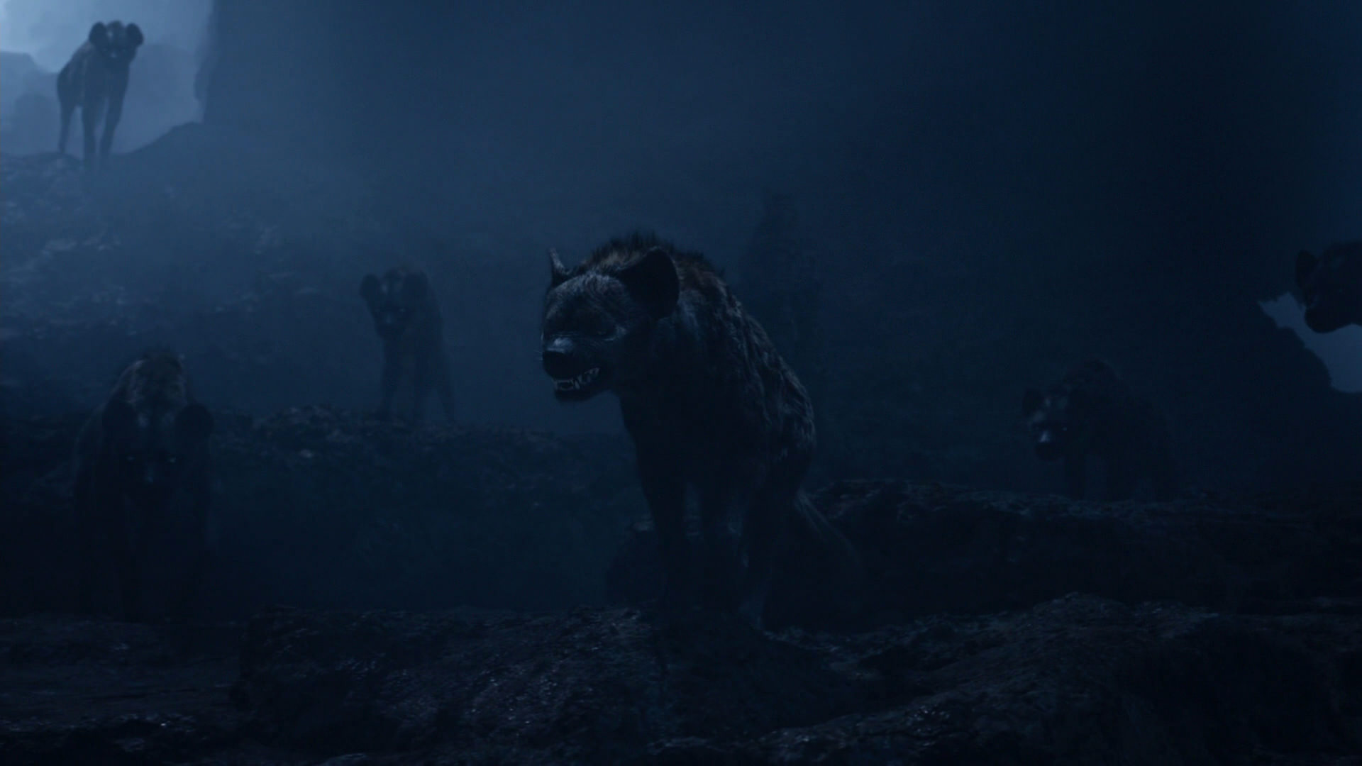 The Lion King (2019) - Animation Screencaps.com