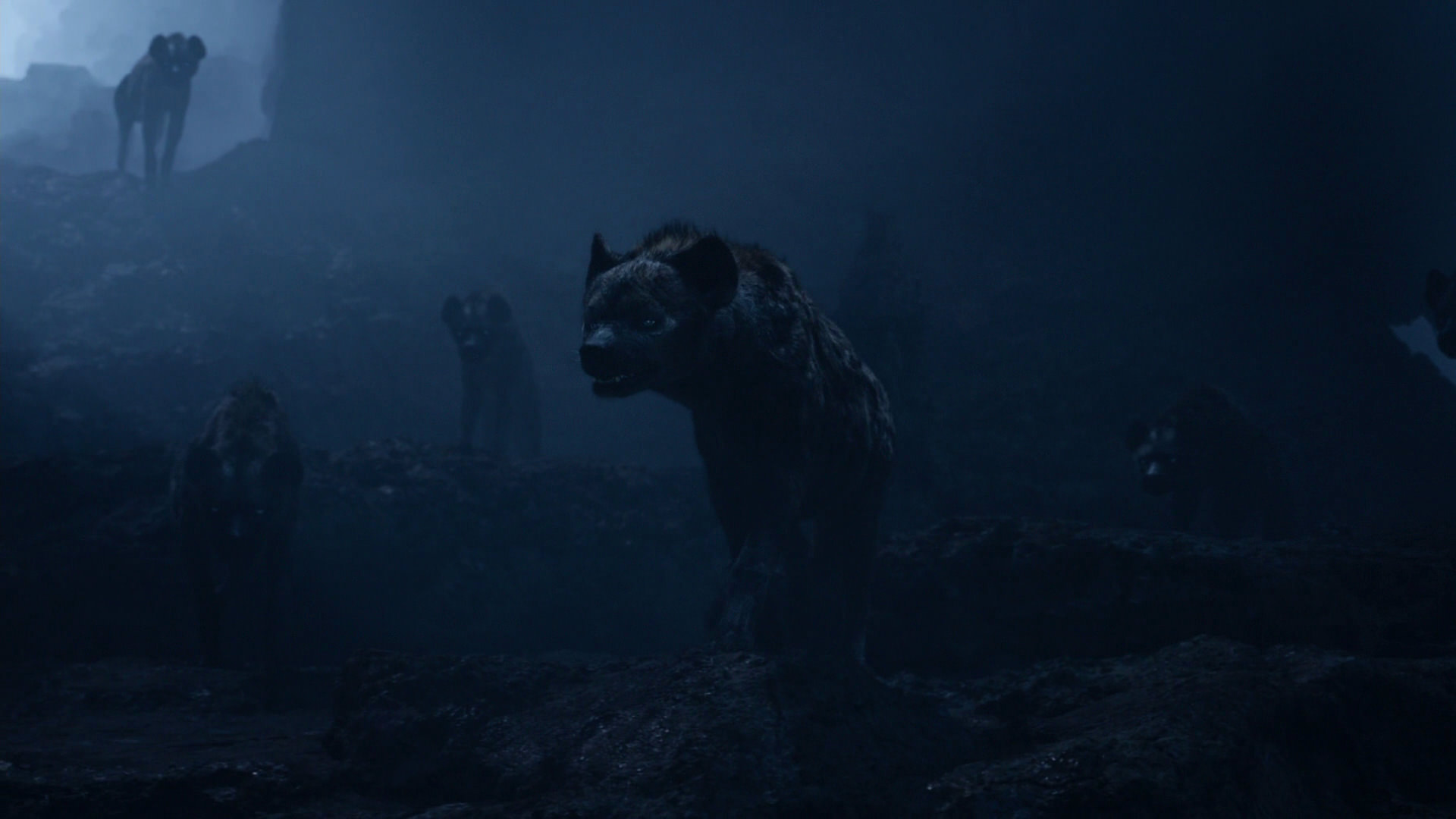 The Lion King (2019) - Animation Screencaps.com