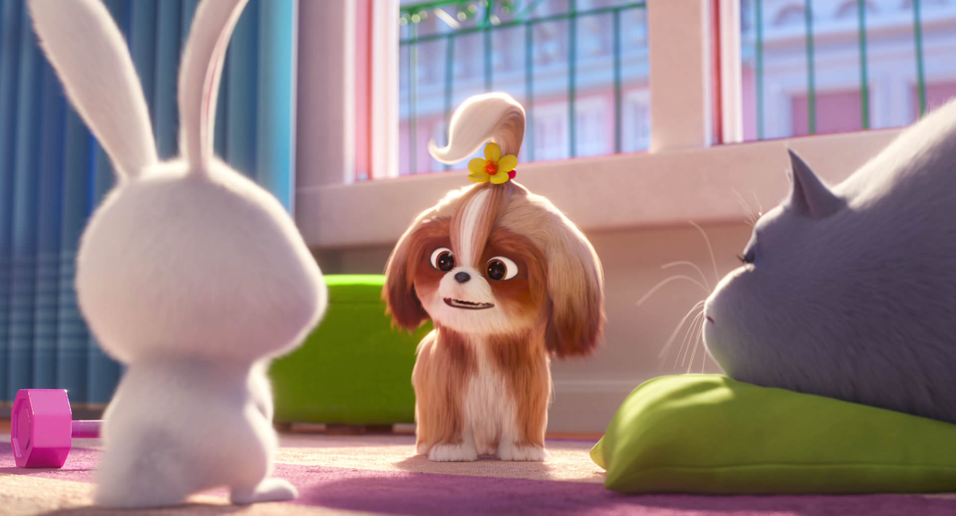 The Secret Life of Pets 2 (2019) - Animation Screencaps.com