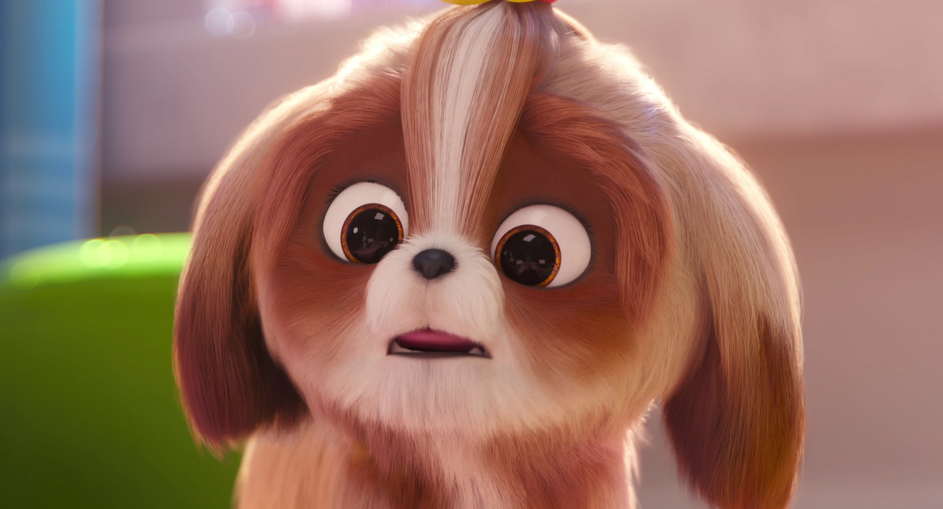 The Secret Life of Pets 2 (2019) - Animation Screencaps.com