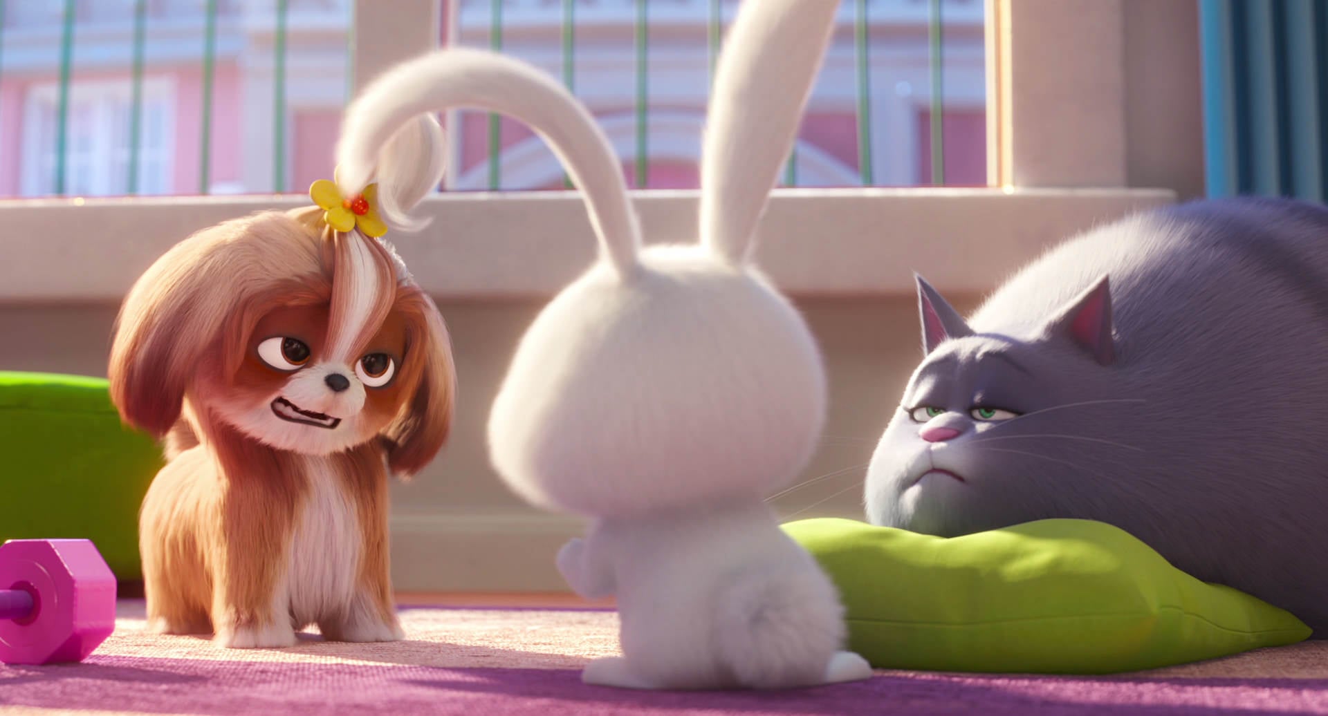 The Secret Life of Pets 2 (2019) - Animation Screencaps.com