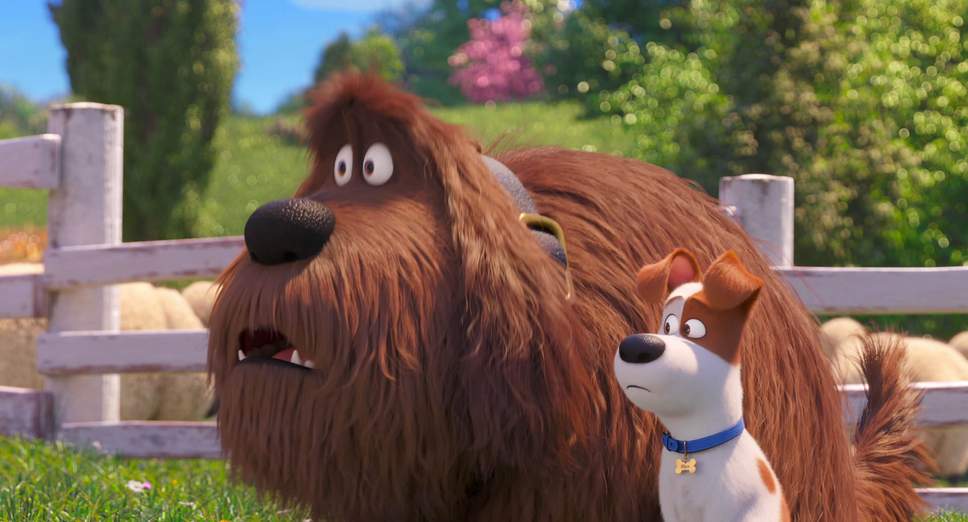 The Secret Life of Pets 2 (2019) - Animation Screencaps.com