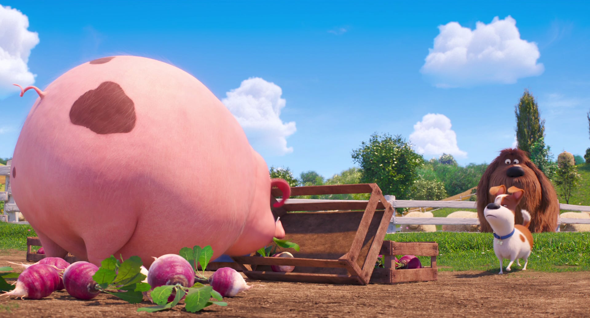 The Secret Life of Pets 2 (2019) - Animation Screencaps.com