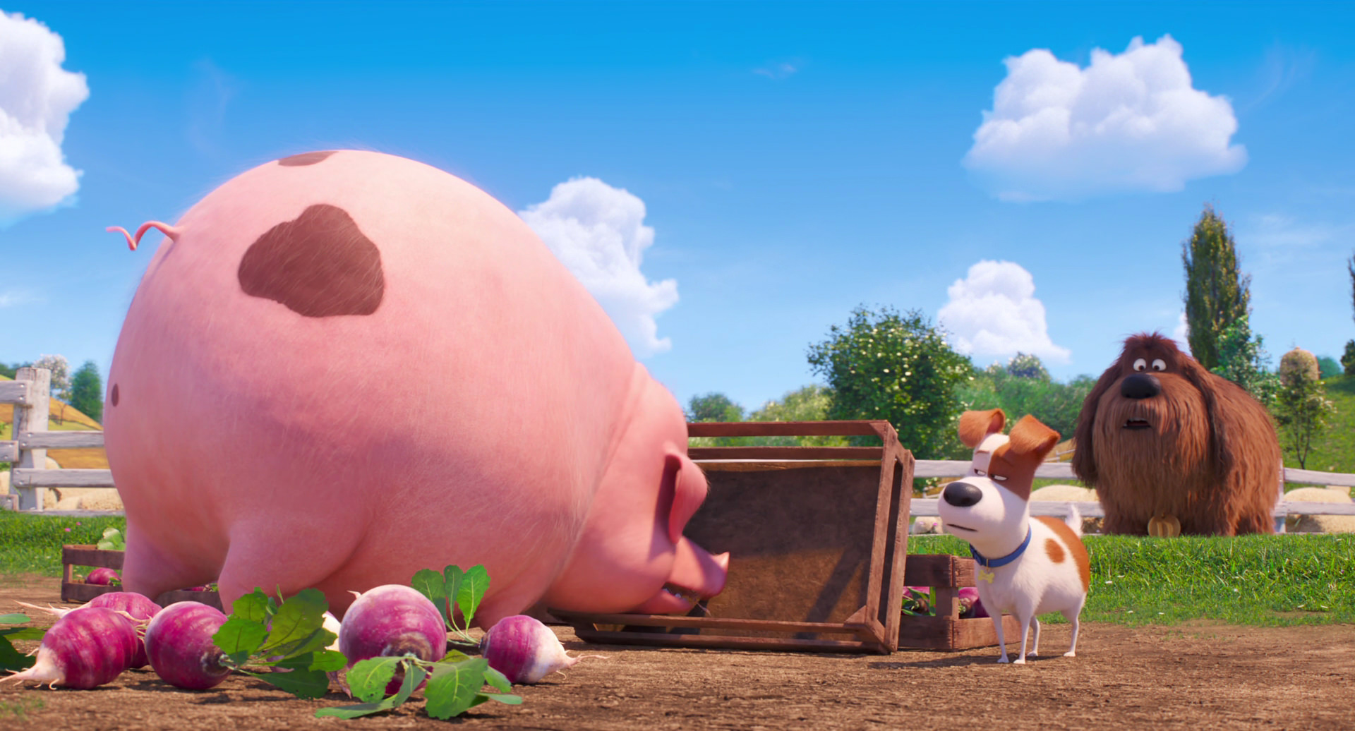 The Secret Life of Pets 2 (2019) - Animation Screencaps.com