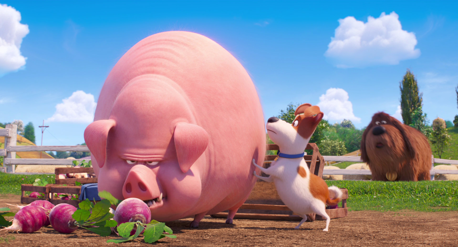 The Secret Life of Pets 2 (2019) - Animation Screencaps.com