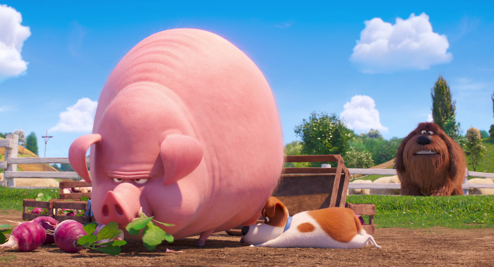 The Secret Life of Pets 2 (2019) - Animation Screencaps.com