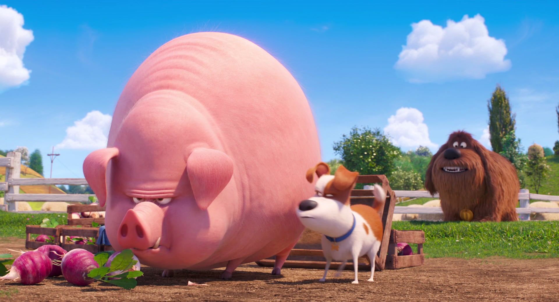 The Secret Life of Pets 2 (2019) - Animation Screencaps.com