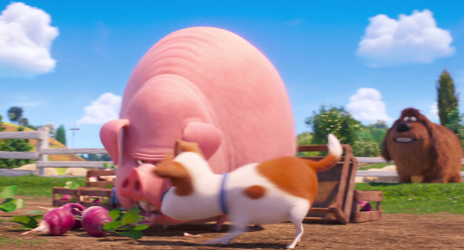 The Secret Life of Pets 2 (2019) - Animation Screencaps.com