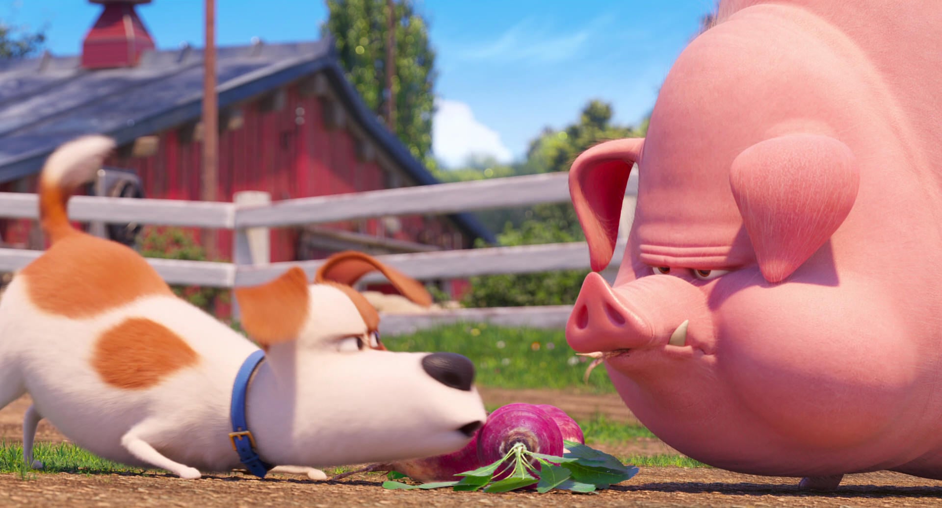 The Secret Life of Pets 2 (2019) - Animation Screencaps.com