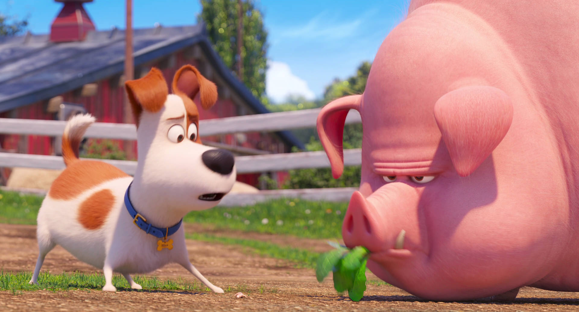 The Secret Life of Pets 2 (2019) - Animation Screencaps.com