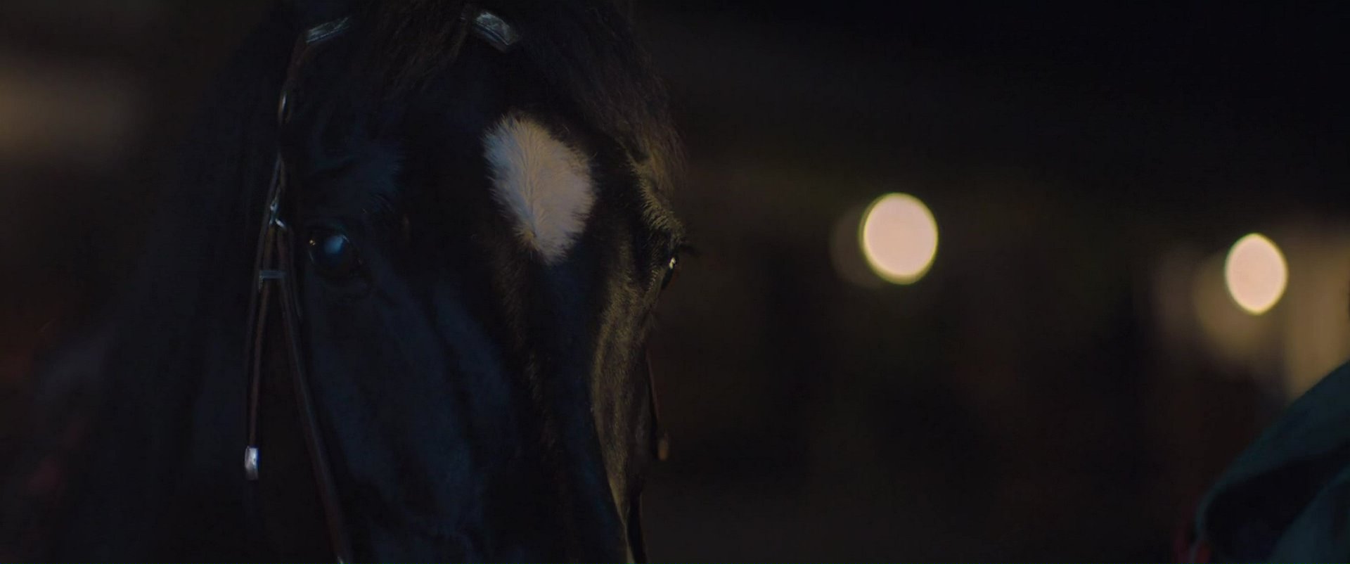 Black Beauty (2020) - Animation Screencaps.com