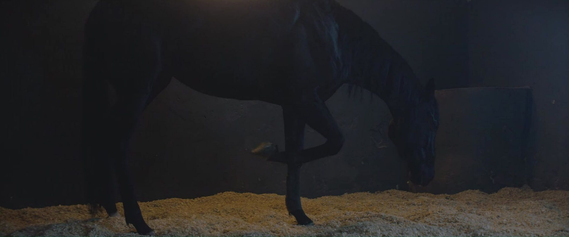 Black Beauty (2020) - Animation Screencaps.com