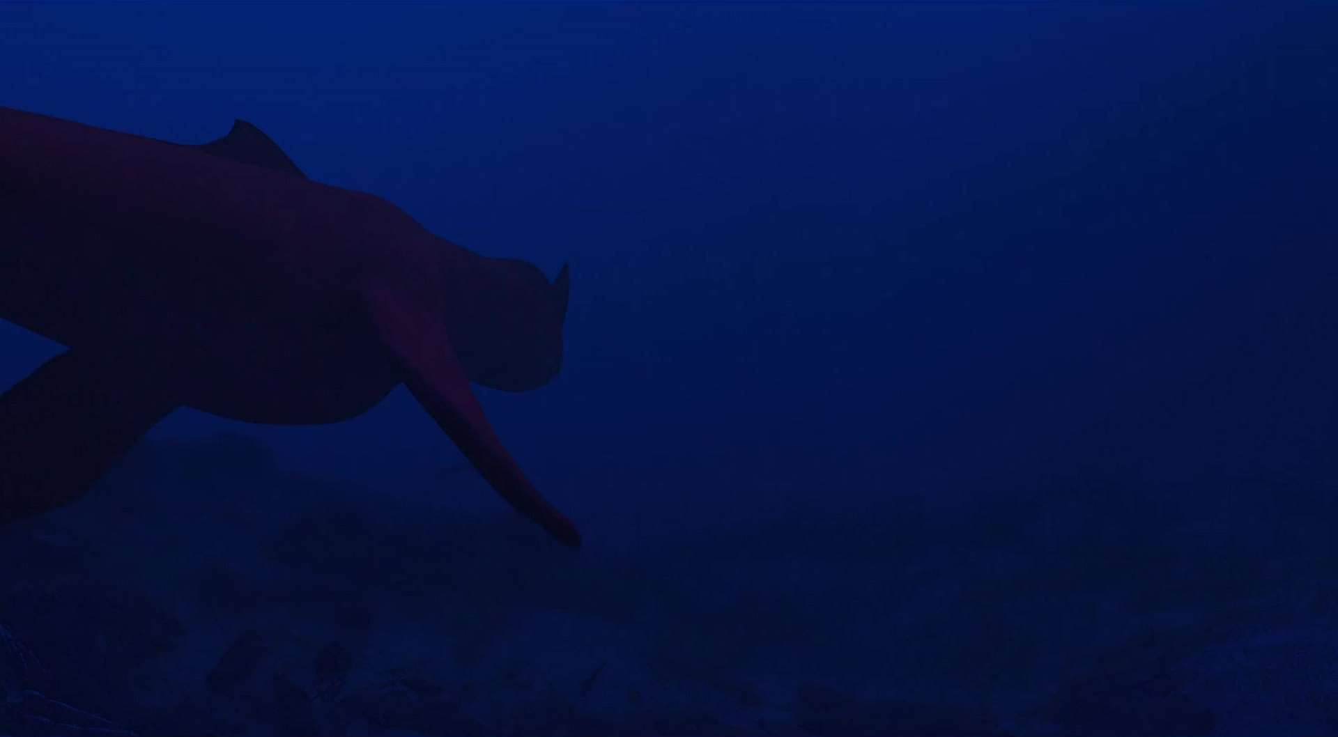 The Sea Beast (2022) - Animation Screencaps.com