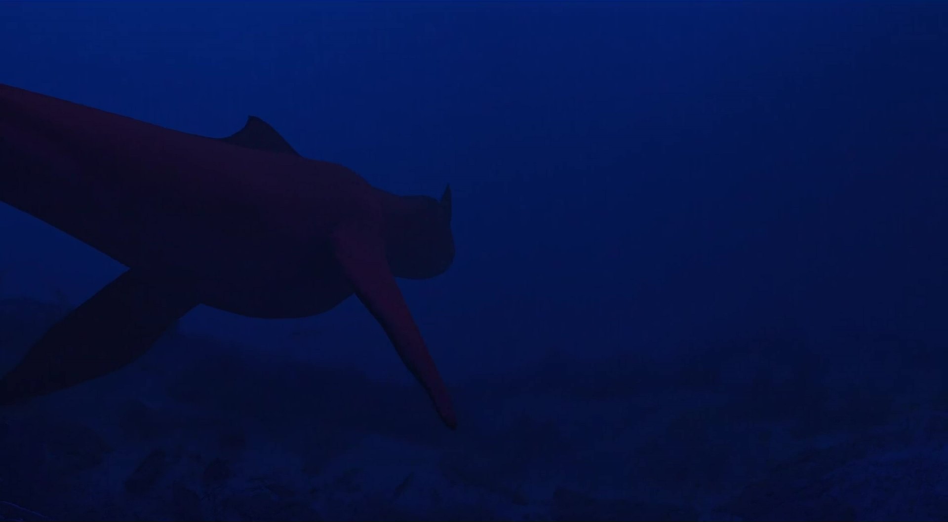 The Sea Beast (2022) - Animation Screencaps.com
