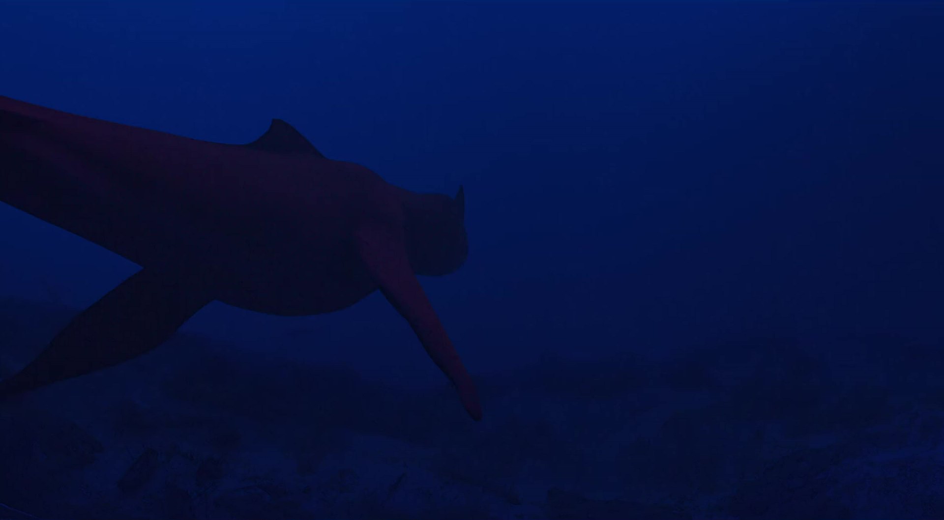 The Sea Beast (2022) - Animation Screencaps.com